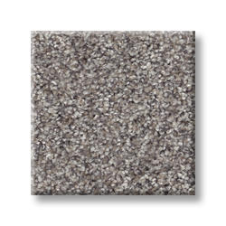 Shaw® Intrepid II Greige Frieze Carpet 15' Wide at Menards®