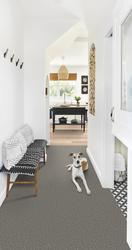 Shaw® Pet Perfect + Fusion II Converge Frieze Carpet 12ft. Wide at Menards®