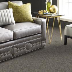 Shaw® Somerville Tawny Brown Frieze Carpet 12 ft. Wide at Menards®