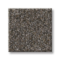 Shaw® Verona Park Black Bean Frieze Carpet 15 ft. Wide at Menards®