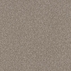 Shaw® Verona Park Burlap Frieze Carpet 15 ft. Wide at Menards®