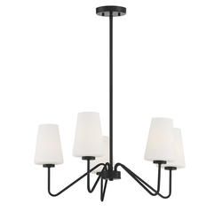 Meridian 5-Light Matte Black Chandelier at Menards®