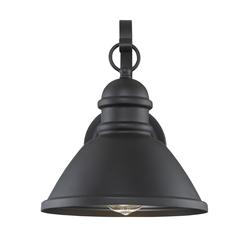 Meridian 1-Light Matte Black Outdoor Wall Light at Menards®