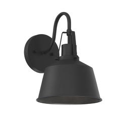 Meridian 1-Light Matte Black Outdoor Wall Light at Menards®