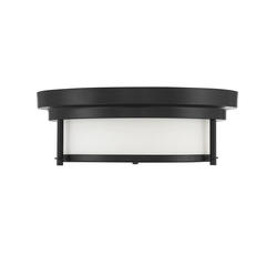 Meridian 2-Light Matte Black Flush Mount Ceiling Light at Menards®