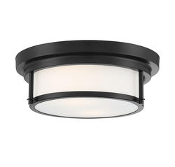 Meridian 2-Light Matte Black Flush Mount Ceiling Light at Menards®