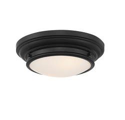 Meridian 2-Light Matte Black Flush Mount Ceiling Light at Menards®