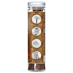 ScentSicles® Two Dashes of Cinnamon Scented Ornaments - 6 Count at Menards®