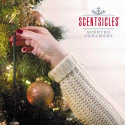 ScentSicles® Two Dashes of Cinnamon Scented Ornaments - 6 Count at Menards®