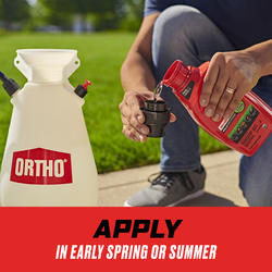 Ortho® Concentrate Lawn Insect Killer - 32 oz. at Menards®