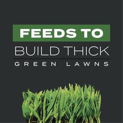 Scotts® Turf Builder® Triple Action Lawn Fertilizer - 12,000 sq. ft. at ...