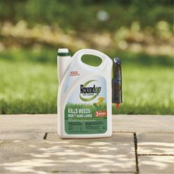 Roundup® For Lawns Ready-to-Use with Trigger Sprayer - 1 gal. at Menards®