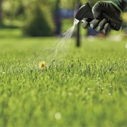 Roundup® For Lawns Ready-to-Use with Trigger Sprayer - 1 gal. at Menards®
