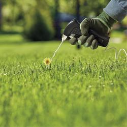 Roundup® For Lawns Ready-to-Use with Trigger Sprayer - 1 gal. at Menards®