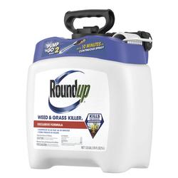 Roundup® Weed & Grass Killer with Pump 'N Go 2 Sprayer - 1.33 gal. at ...