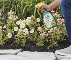 Ortho® Ready-to-Use Garden Insect & Disease Killer - 24 oz. at Menards®