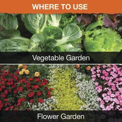 Ortho® Ready-to-Use Garden Insect & Disease Killer - 24 oz. at Menards®