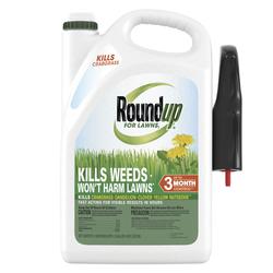 Roundup® For Lawns Ready-to-Use with Trigger Sprayer - 1 gal. at Menards®