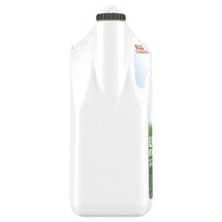 Roundup® For Lawns Ready-to-Use with Trigger Sprayer - 1 gal. at Menards®