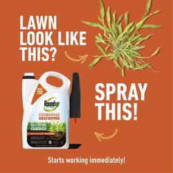 Roundup® For Lawns Ready-to-Use Crabgrass Destroyer2 - 64 oz. at Menards®