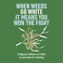 Roundup® For Lawns Ready-to-Use Crabgrass Destroyer2 - 64 oz. at Menards®