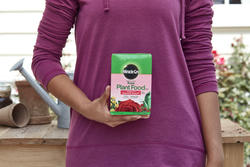 Miracle-Gro® 18-24-16 Water Soluble Rose Plant Food - 1.5 lb. at Menards®