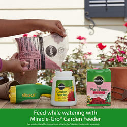 Miracle-Gro® 18-24-16 Water Soluble Rose Plant Food - 1.5 lb. at Menards®