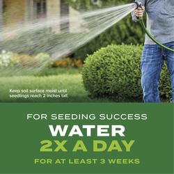 Scotts® Turf Builder® Rapid Grass™ Sun & Shade Mix - 16 lbs. at Menards®