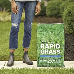 Scotts® Turf Builder® Rapid Grass™ Sun & Shade Mix - 16 lbs. at Menards®