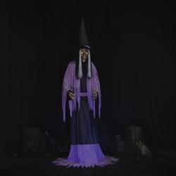 Pumpkin Hollow™ 10' Animated Towering Talking Witch at Menards®