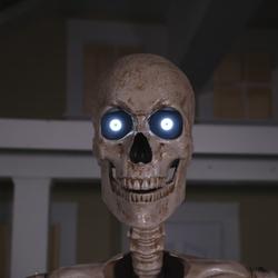 Pumpkin Hollow™ 8' Animated LED Skeleton with Sound Halloween Décor at ...