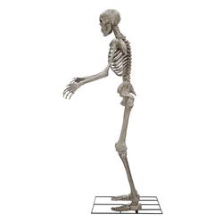Pumpkin Hollow™ 8' Animated LED Skeleton with Sound Halloween Décor at ...