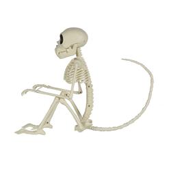 Pumpkin Hollow™ 21" Black Light Posable Halloween Monkey Skeleton at ...
