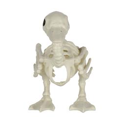 Pumpkin Hollow™ 5-3/4" Black Light Posable Halloween Duck Skeleton at ...