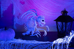 Pumpkin Hollow™ 10" Black Light Posable Halloween Gargoyle Skeleton at ...