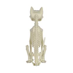 Pumpkin Hollow™ 11" Black Light Posable Sitting Cat Halloween Skeleton ...