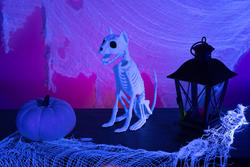 Pumpkin Hollow™ 11" Black Light Posable Sitting Cat Halloween Skeleton ...