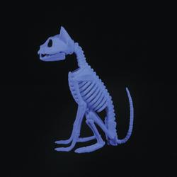 Pumpkin Hollow™ 11" Black Light Posable Sitting Cat Halloween Skeleton ...