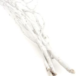 Enchanted Forest® 3-4' White Branches at Menards®