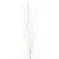 Enchanted Forest® 3-4' White Branches at Menards®