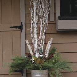 Enchanted Forest® 3-4' White Branches at Menards®