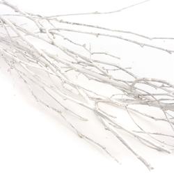 Enchanted Forest® 3-4' White Branches at Menards®