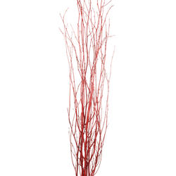 Enchanted Forest® 3-4' Red Branches at Menards®