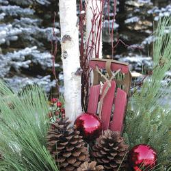 Enchanted Forest® 3-4' Red Branches at Menards®