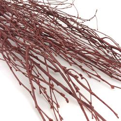 Enchanted Forest® 3-4' Red Branches at Menards®
