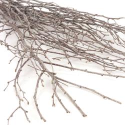 Enchanted Forest® 3-4' Frosted Glitter Branches at Menards®