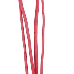 Enchanted Forest® 3' Red Decorative Sticks at Menards®