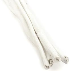 Enchanted Forest® 3' White Decorative Sticks at Menards®