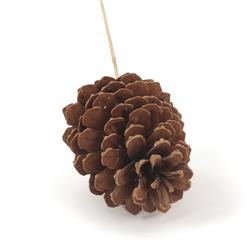 Enchanted Forest® 22" Jumbo Natural Pinecone Pick at Menards®