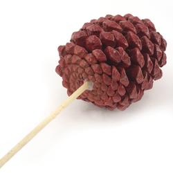 Enchanted Forest® 22" Jumbo Red Gloss Pinecone Pick at Menards®